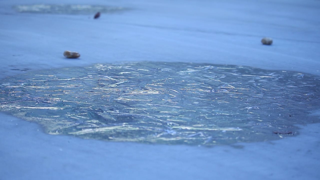 cortometraje – YOLANDA MORENO TORRADO